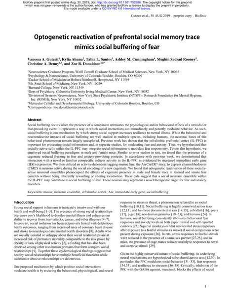 Pdf Optogenetic Reactivation Of Prefrontal Social Memory Trace Mimics