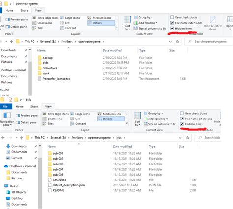 Docker Run Fmriprep Dataset Description Json Is Missing On Windows Fmriprep Neurostars