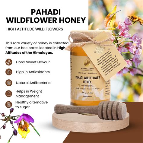 Wildflower Honey 100 Natural Wild Raw And Unpasteurized Pahadi Amrut