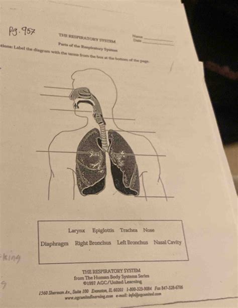 solved narist the respiratory system data parts of the respiratory