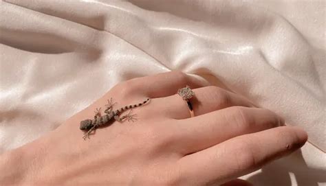 Apa Itu Prolog Pengertian Fungsi Dan Cara Membuatnya Feeds