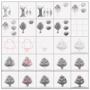 How To Draw A Tree A Step By Step Guide Artlex