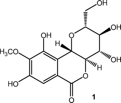 Structure Of The Bergenin A C Glucoside Derivative Of Gallic Acid