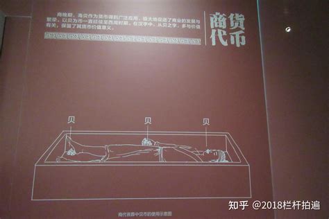 安阳殷墟博物馆6子何人哉 殷墟花园庄东地甲骨特展 知乎