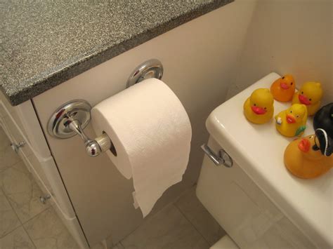 Remedial Adulthood How To Replace A Toilet Paper Roll
