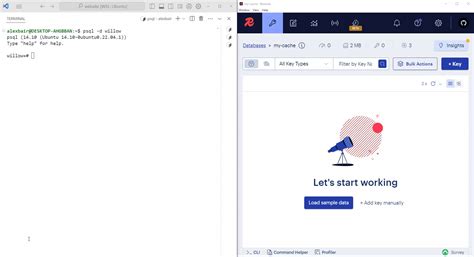 Willow Framework Willow