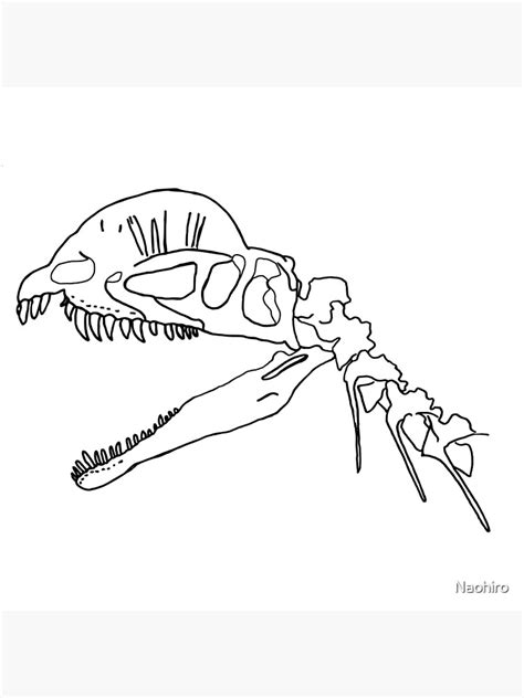 Dilophosaurus Skeleton Drawing