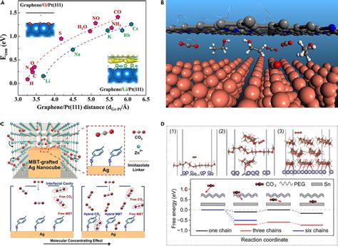 Confinement Effect A E Con For 17 Ml Nonmetal Atoms And Molecules Download Scientific