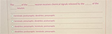 Solved The Of The Neuron Receives Chemical Signals Released