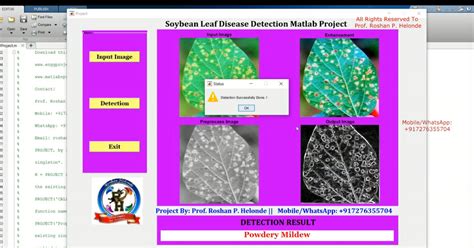 Soybean Leaf Diseases Detection Using Image Processing Soyabean Leaf Diseases Detection Using