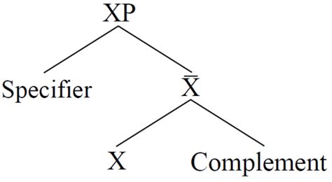X Bar Theory Wikipedia