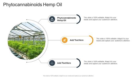 Phytocannabinoids Hemp Oil In Ppt Powerpoint Presentation Slide Templates Cpp PPT Sample