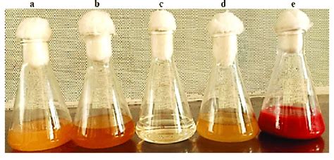 Production Of Selenium Nanoparticles Senps By Lactobacillus Download Scientific Diagram