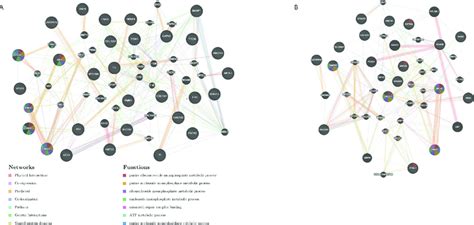 A Gene Specific Proportion Of Pathogenic Snps Across 20 Ethnic Groups Download Scientific