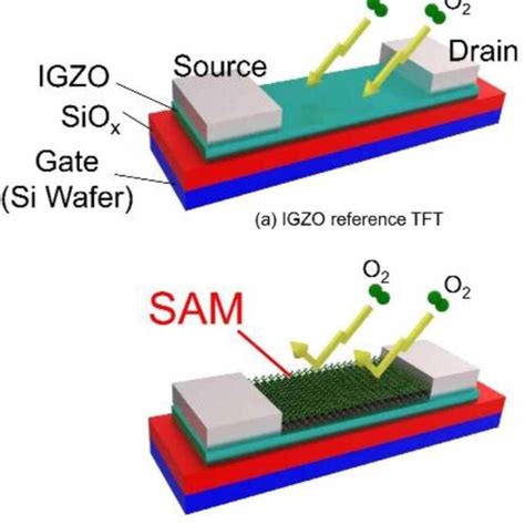 Detailed Schematic Of A Igzo Reference Tft And B Sam Treated Igzo Download Scientific