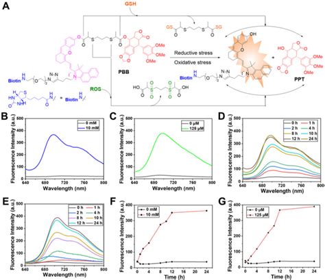 Tme Targeting Theranostic Agent Uses Nir Tracking For Tumor Diagnosis And Surgical Resection And