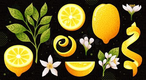 Yellow Lemonade Lemon Pieces Ripe Sour Diet Limon Food Vegetarian Vector Cartoon