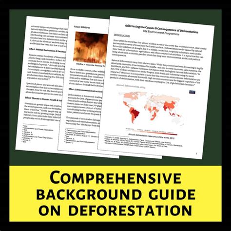 Ending Deforestation Model Un Simulation By Miss Bees Bodega Tpt