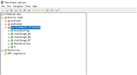 Sharpening Your Frida Scripting Skills With Frida Tool