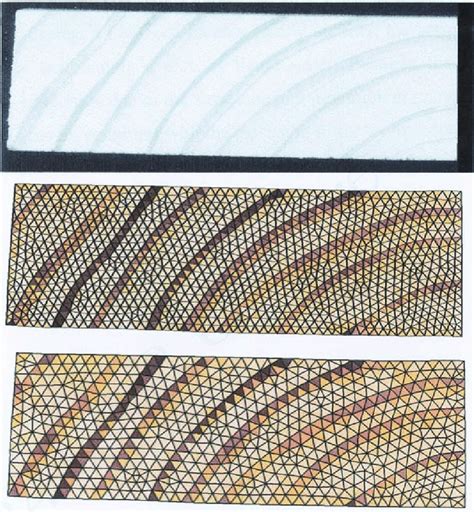 Possibilities Offered By The Mesh Generation Procedure Once The