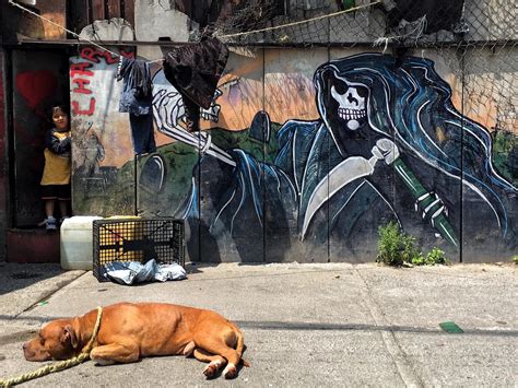 Entre Santería Y Temibles Rituales Los Métodos De Los Narcos Mexicanos Para Buscar Protección Y