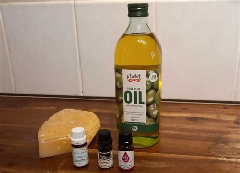 How To Make Your Own Pruning Paste Kats Garden