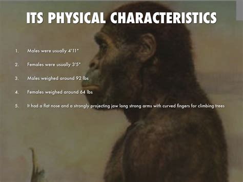 Australopithecus By Lucas Moody