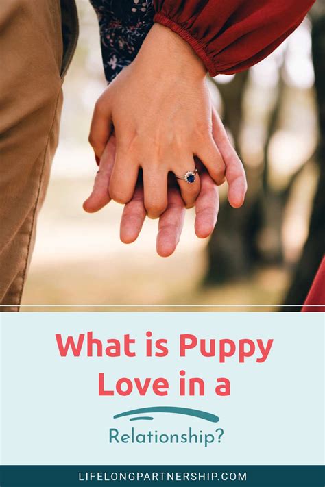 What Is Puppy Love In A Relationship Lifelong Partnership