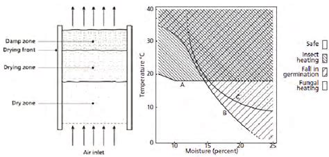 A Batch Drying B Possible Effects Of Moisture Content Dry Basis Download Scientific