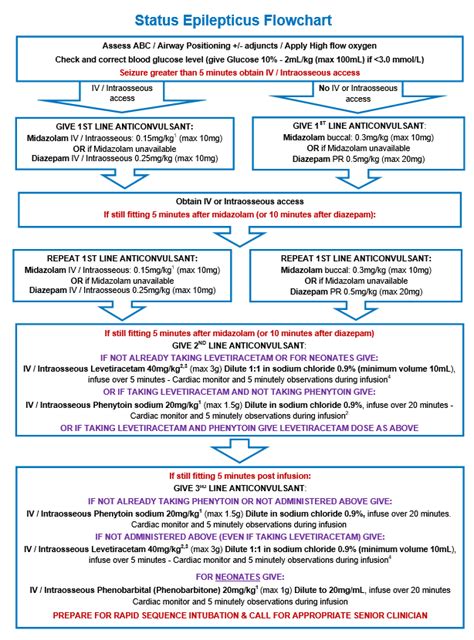 Status Epilepticus