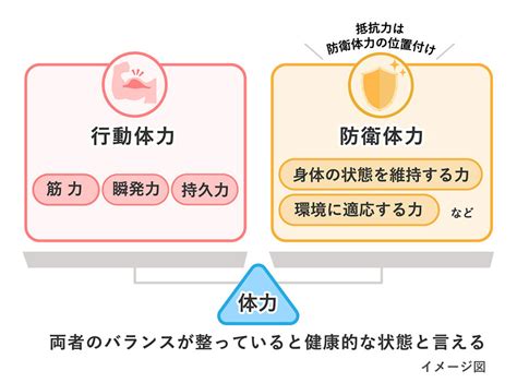 抵抗力をつけるための生活習慣とはがんばるあなたに疲れの情報局アリナミン