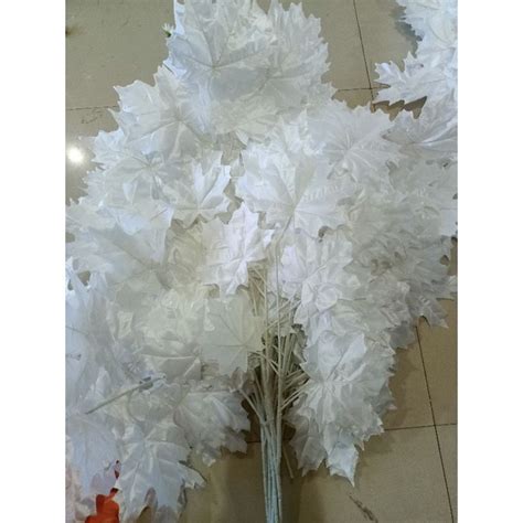 Jual Daun Canada Mapel Cabang 5 1lusin Shopee Indonesia