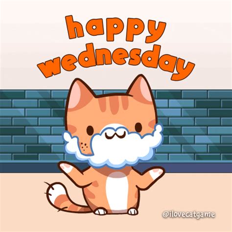 Good Morning Wednesday Funny Cartoon Images 