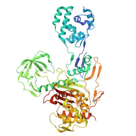 Rcsb Pdb 3udx Crystal Structure Of Acinetobacter Baumannii Pbp1a In Complex With Imipenem