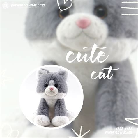 Цэцэгт мэндчилгээ Цэцэг Цэцэгт мэндчилгээ Цэцэг хүргэлт