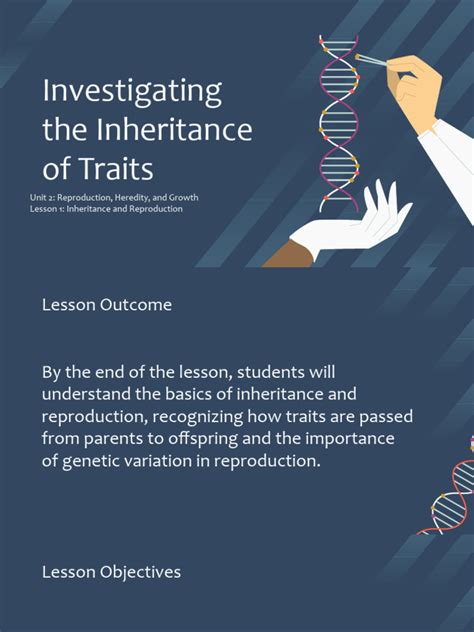 Inheritance And Reproduction Pdf Dominance Genetics Heredity
