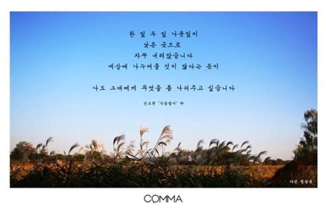 콤마 그리고 쉼표 Vol208 나도 그대에게 무엇을 좀 Comma 대학생 광고and마케팅 잡지