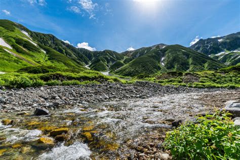 「杉皮」の写真素材 205496件の無料イラスト画像 Adobe Stock