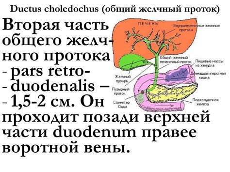 Bd4r презентация онлайн