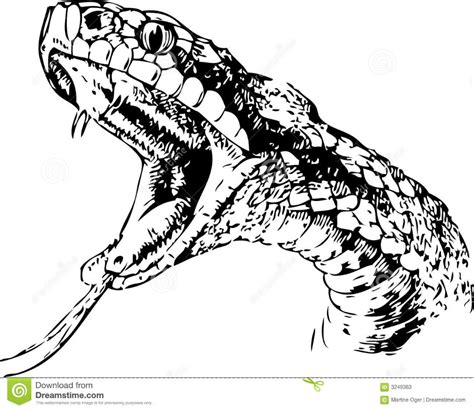 Illustration About Snake Sketch In Black And White Illustration Of