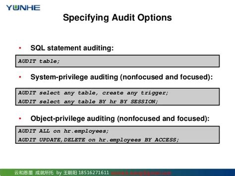 oracle security 03 implementing oracle database auditing