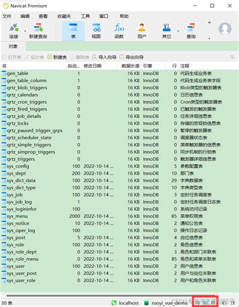 若依vue入门——项目运行篇 Csdn博客