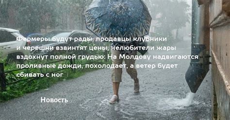 Фермеры будут рады продавцы клубники и черешни взвинтят цены нелюбители жары вздохнут полной