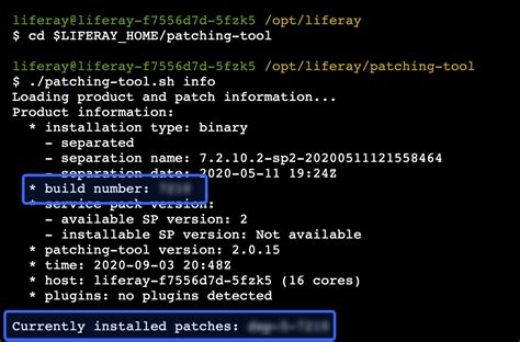 Stage 1 Matching DXP Versions Liferay Learn