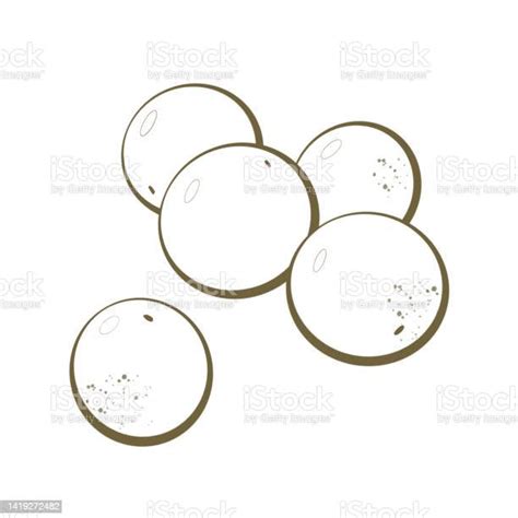 윤곽선 스케치 식물 과일 식물 아사이 블랙 베리 근접 촬영 디자인 요소 흰색 배경에 가을에 대한 스톡 벡터 아트 및 기타 이미지 가을 계절 과일 Istock