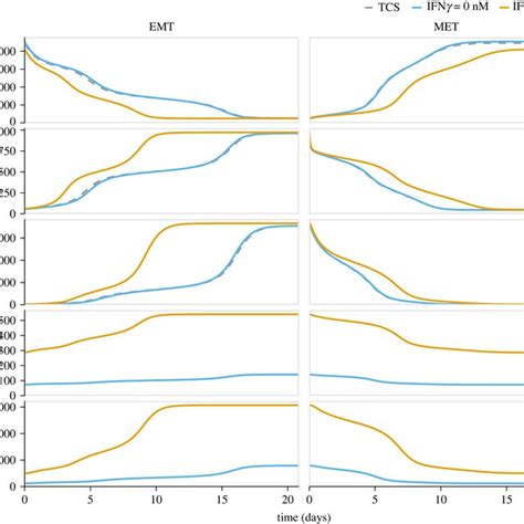 Temporal Dynamics Of Emp Emt Left And Met Right For The Simplified Download Scientific