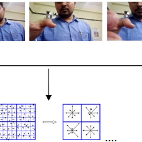 Sample Universal Descriptor For Histogram Of Optical Flow Hof In