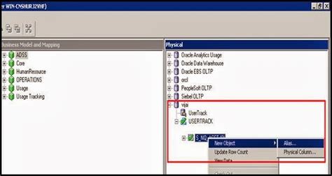 Usage Tracking In Obiee 11g