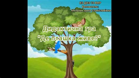 Дидактична гра Де пташка живе для дітей раннього віку Youtube