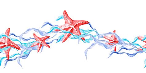 불가사리와 해초와의 완벽한 경계 섬유 디자인 해양 테마 휴일 인쇄 레스토랑을 위한 수중 세계를 주제로 한 고립된 일러스트레이션 0명에 대한 스톡 벡터 아트 및 기타 이미지